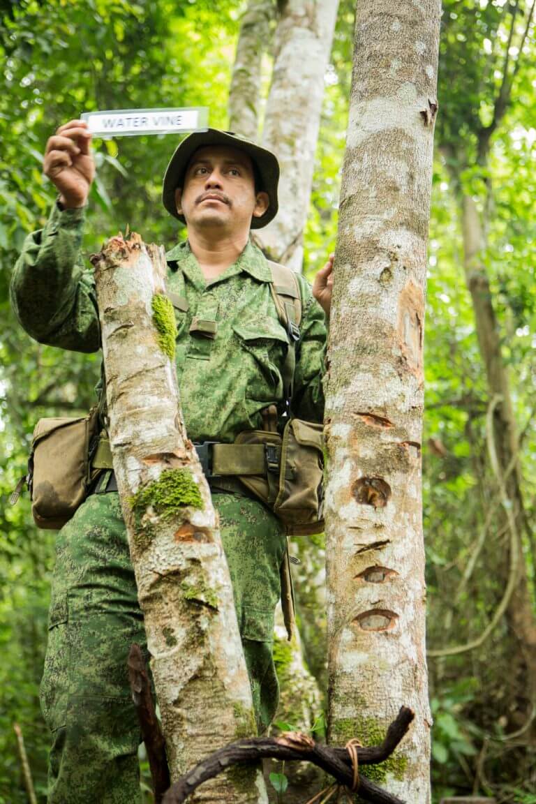 Jungle Ready – Citizen-Soldier