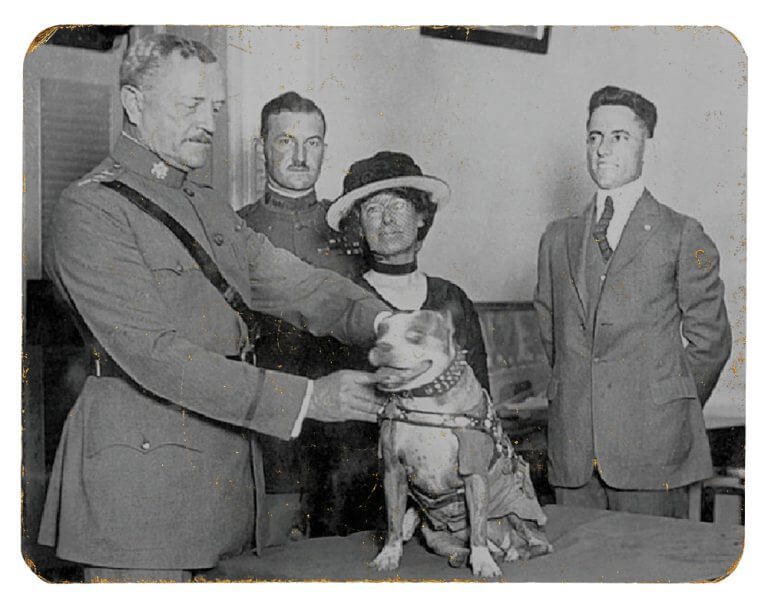 Sergeant Stubby – Citizen-Soldier