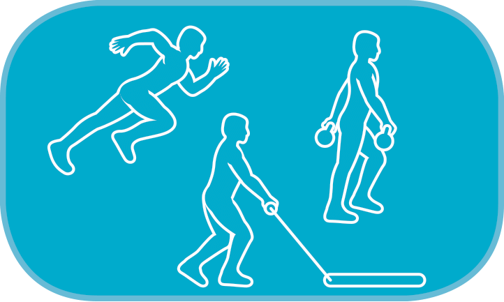 PT Tips — Total-Body Workout – Citizen-Soldier